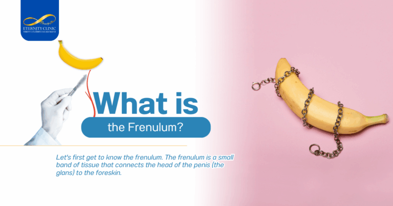 What is the Frenulum and Should It Be Cut? Dr. Beer Has the Answer ...